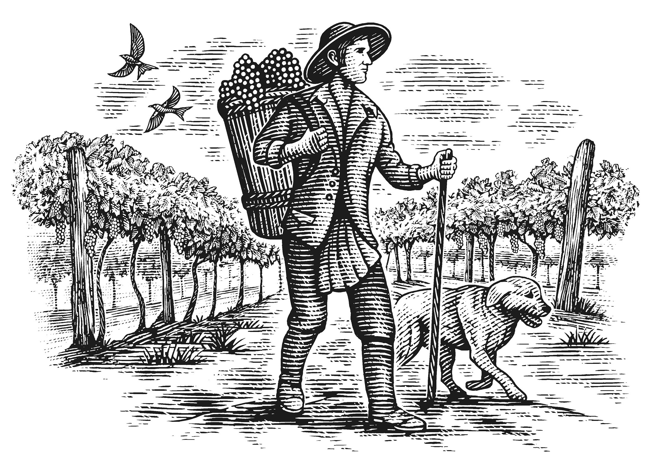 Steven Noble - Workbook DXE